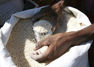 Rekord: Online-Quiz Freerice.com zählt eine Million Spieler | World ...